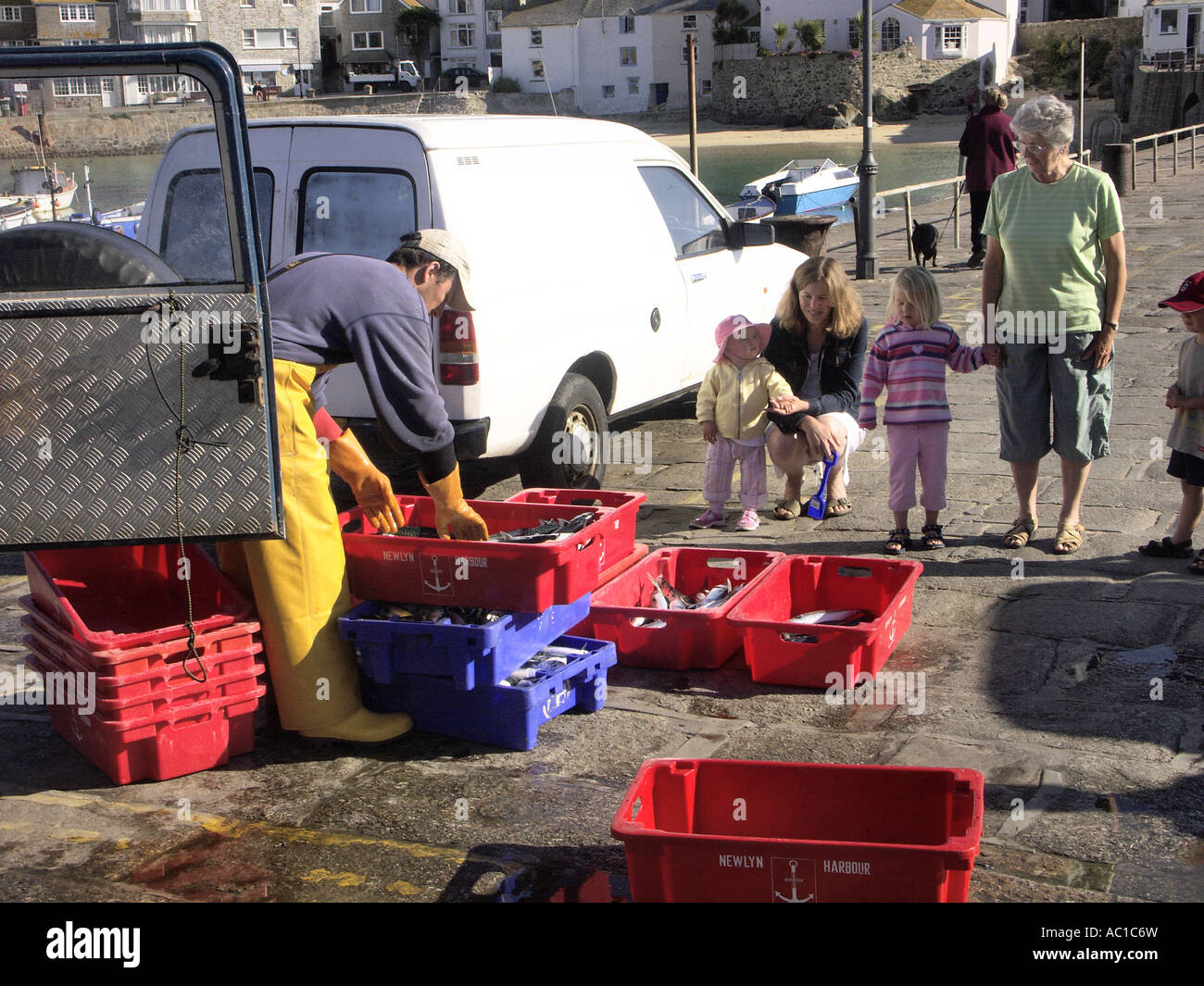 Watching the morning catch being sorted on St Ives quay Stock Photo - Alamy