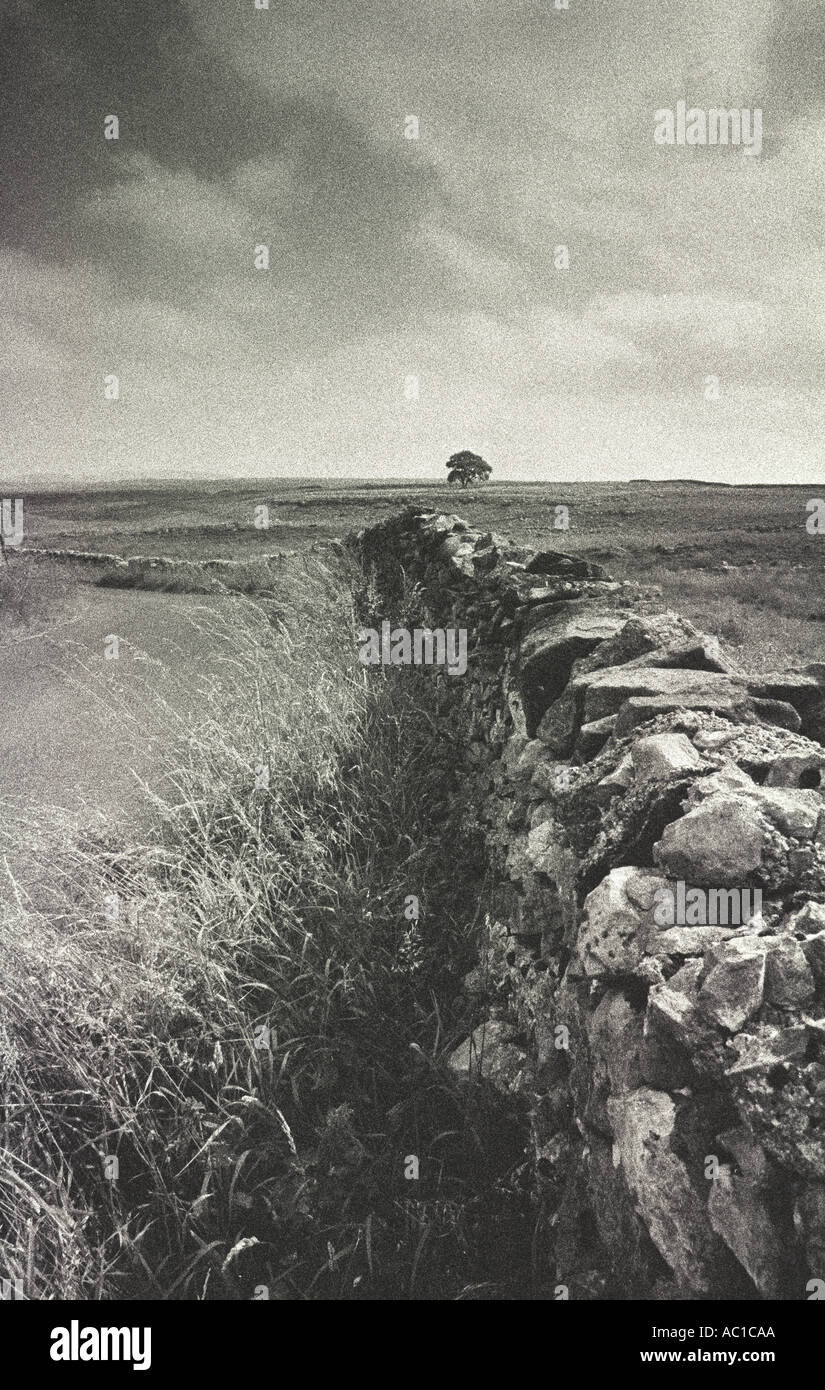 Eye of malham hi-res stock photography and images - Alamy