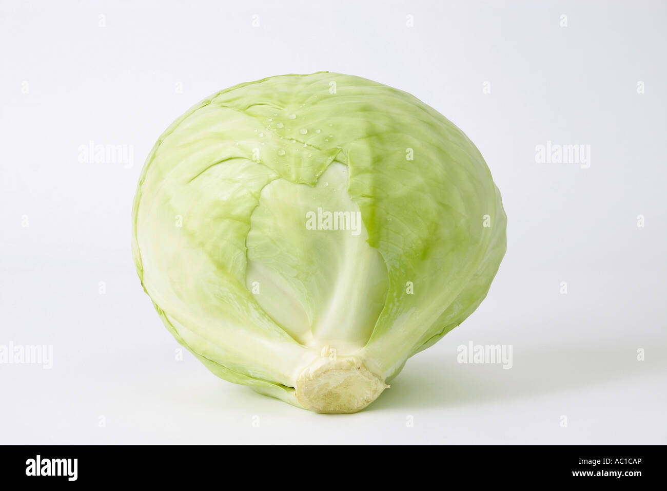 Chinese cabbage against white background close up Stock Photo - Alamy