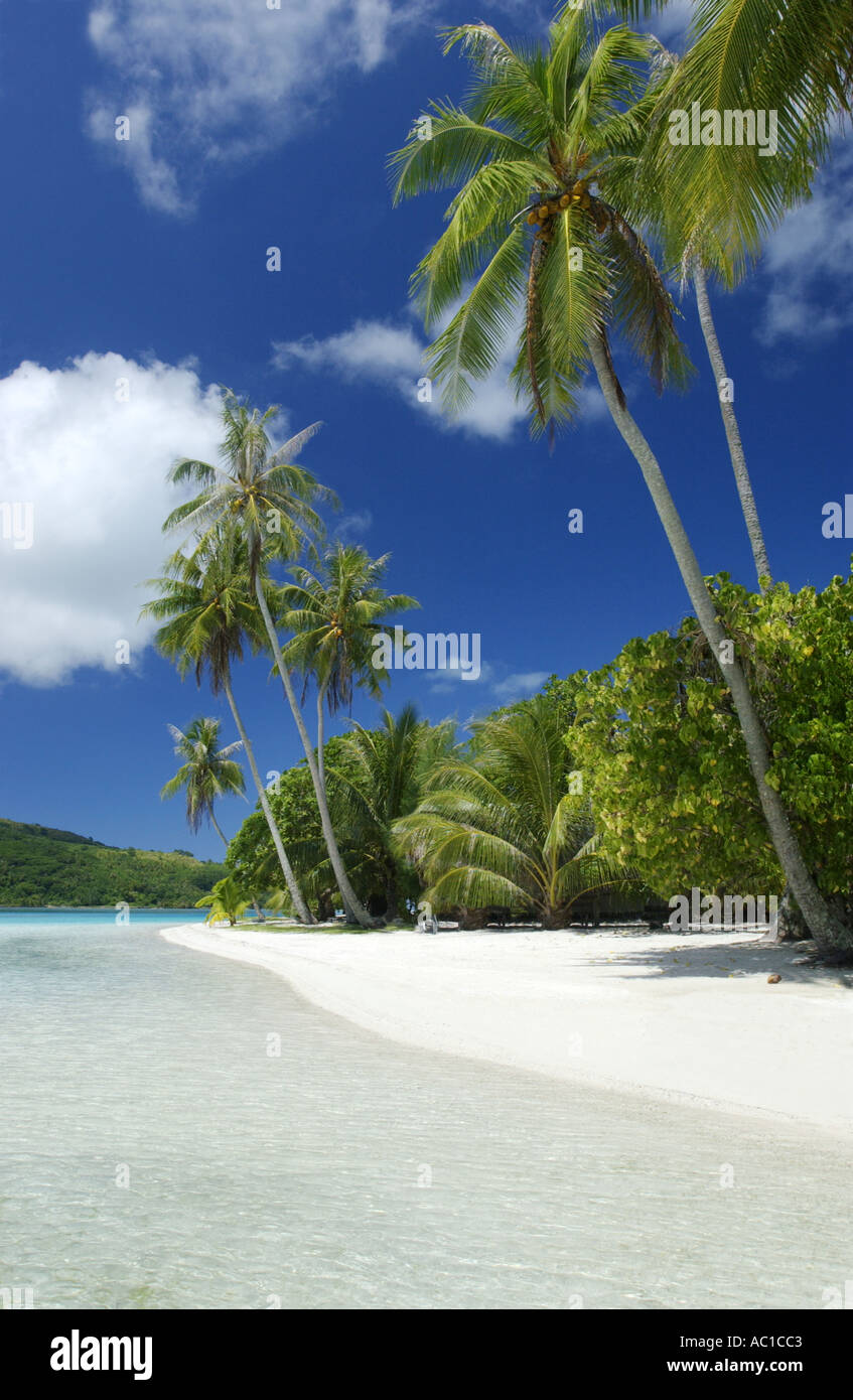 Tropical beach in Bora Bora, French Polynesia Stock Photo - Alamy