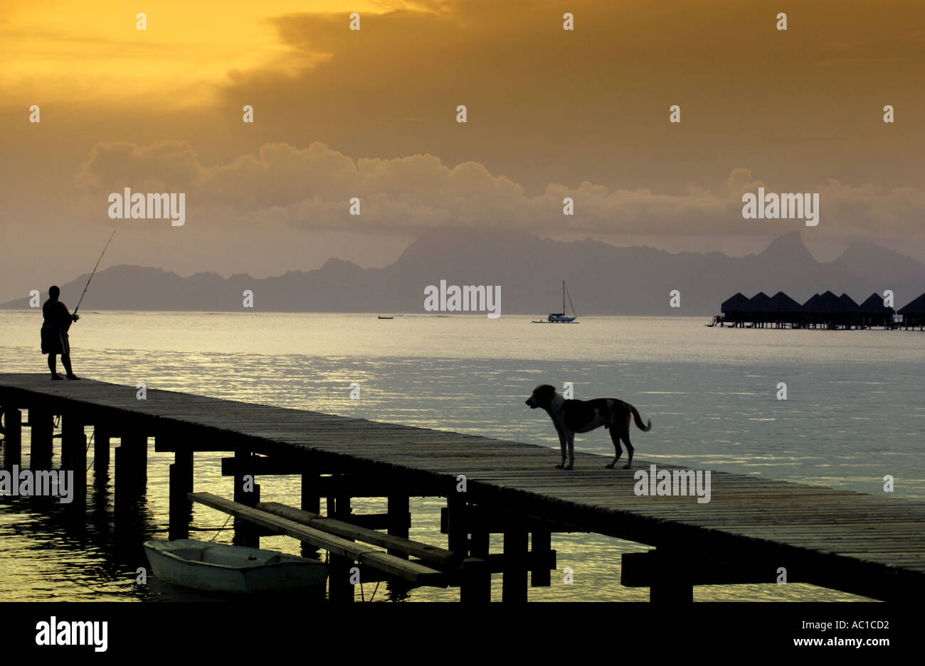 Local man fishing from a jetty in Tahiti in French Polynesia Stock ...