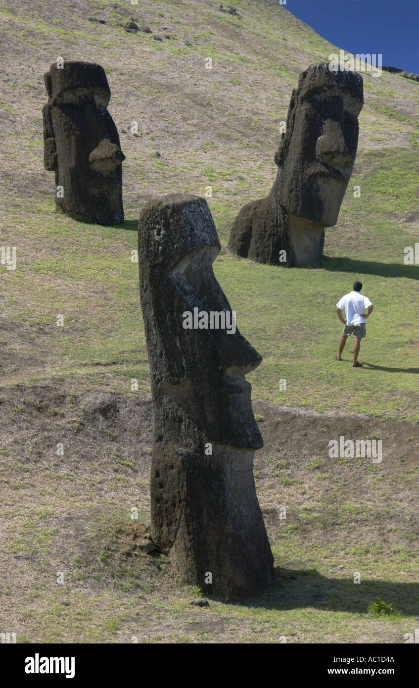Moai statue rano raraku big hi-res stock photography and images - Alamy