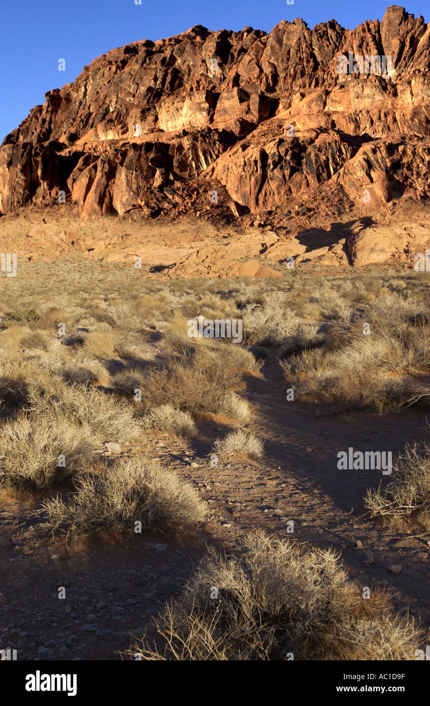 Navada desert hi-res stock photography and images - Alamy