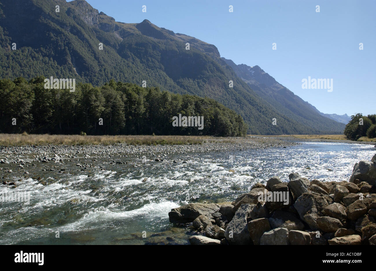 River in New Zealand Stock Photo - Alamy