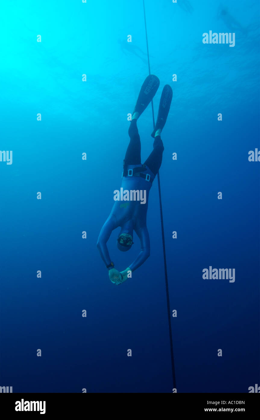 freediver going down Stock Photo - Alamy