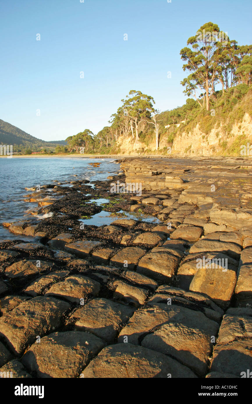 The Tessellated Pavements a geological formation on the Tasman ...