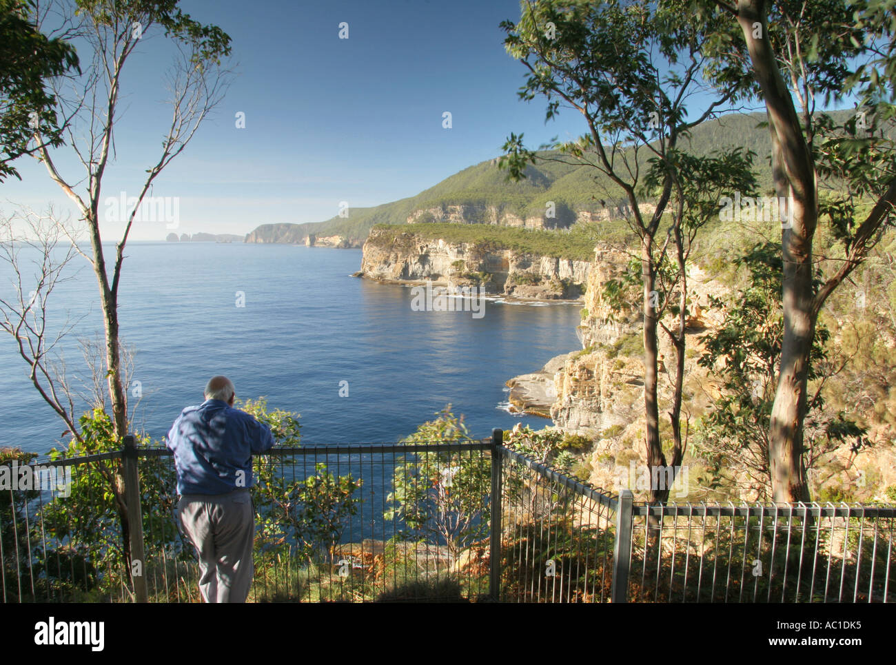 A tourist viewing Waterfall Bay near Eaglehawk Neck on the Tasmanian ...
