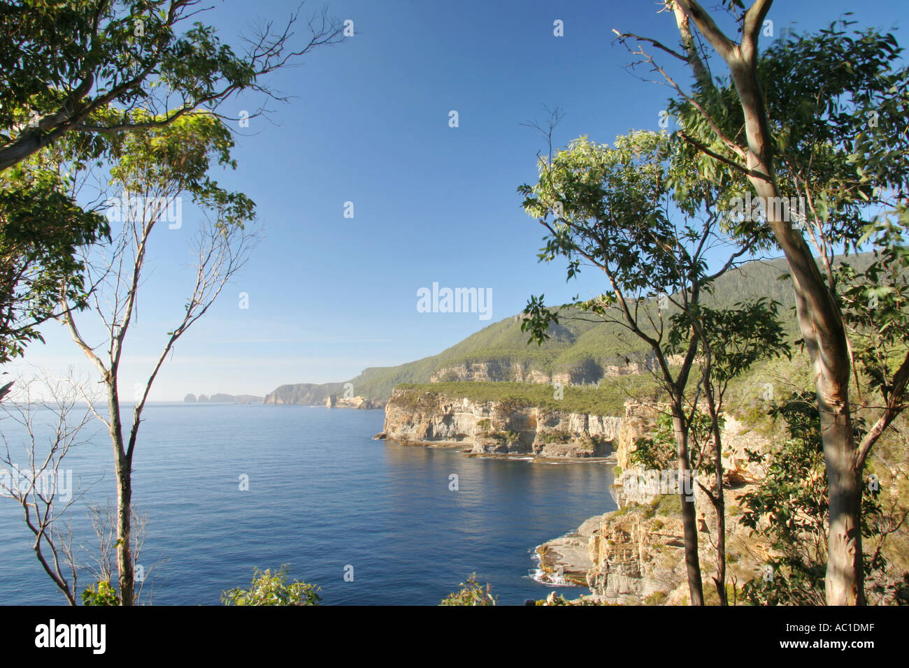 Waterfall bay tasmania hi-res stock photography and images - Alamy