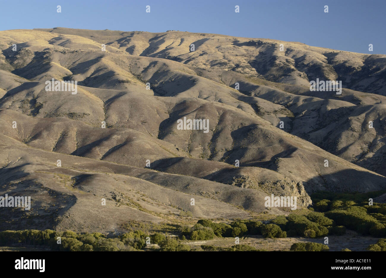 Desert landscape in Navada USA Stock Photo - Alamy