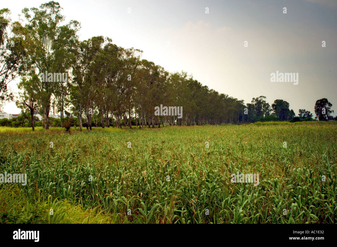 Landscape of France Stock Photo - Alamy