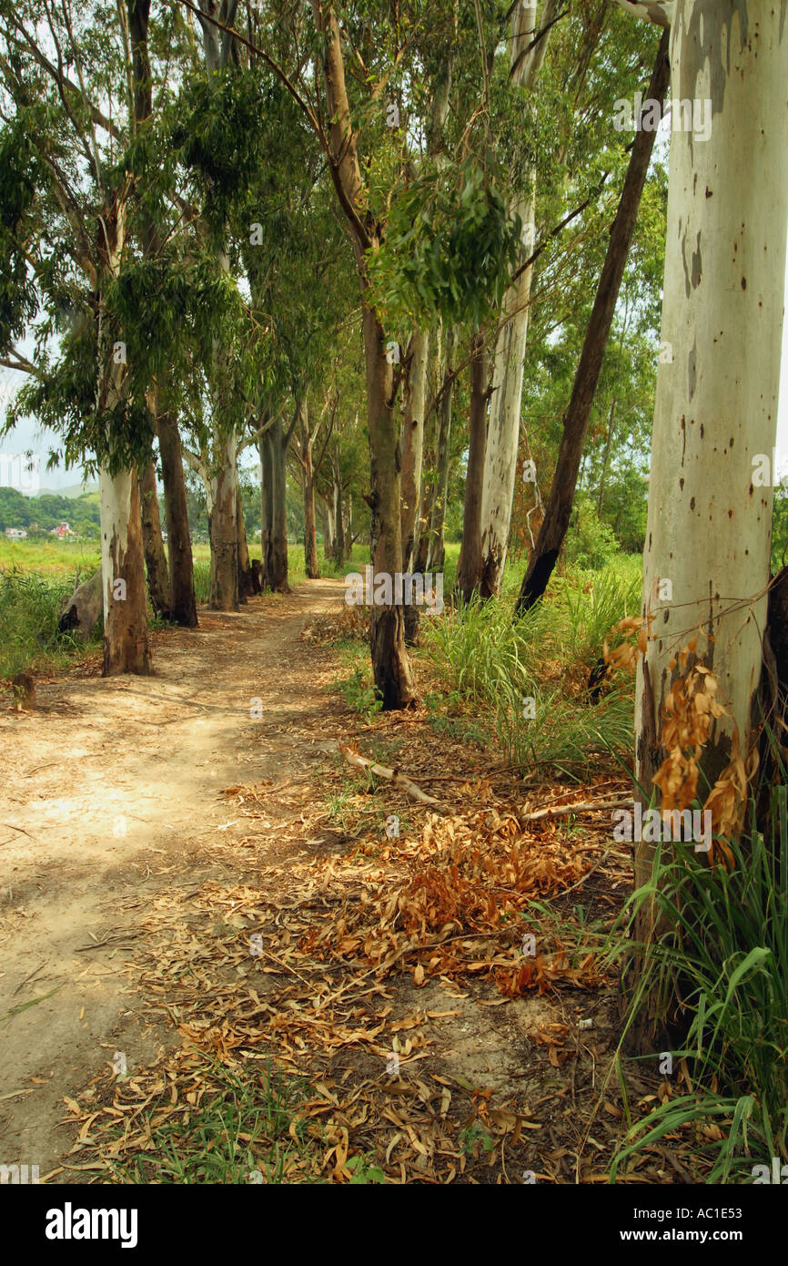 Landscape of France Stock Photo - Alamy