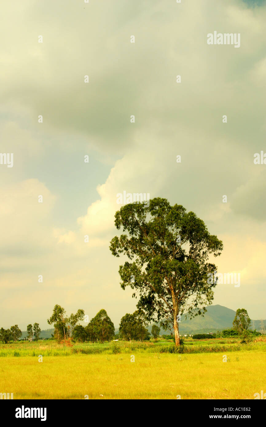 Landscape in France Stock Photo - Alamy