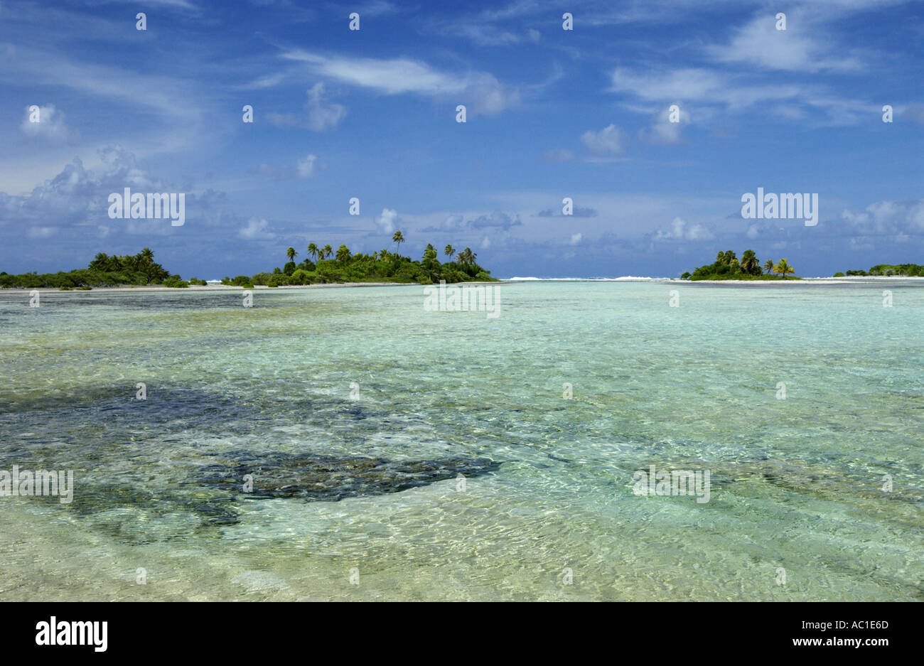 Tropical lagoon in Tahiti in French Polynesia Stock Photo - Alamy