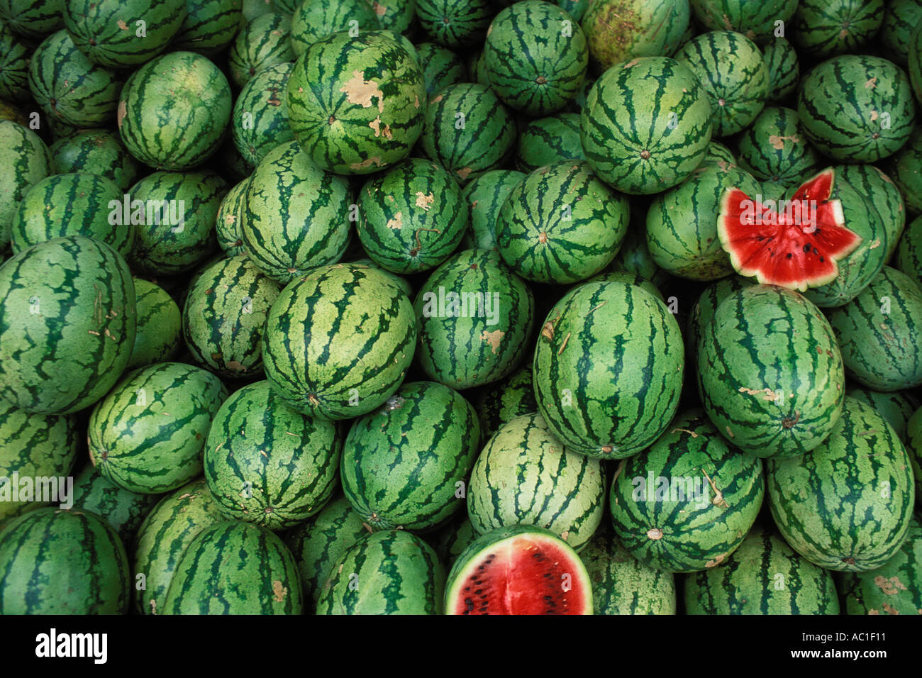 India, Goa, Watermelons in market Stock Photo - Alamy