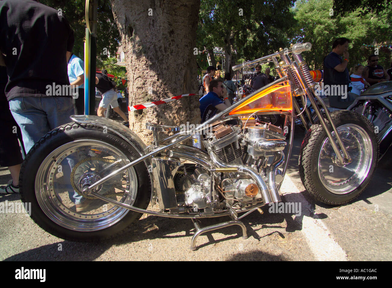 Custom Harley Davidson Motorcycles at the french town of Grimaud near ...