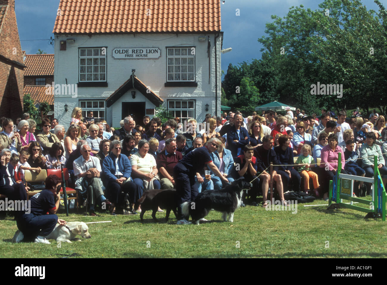 Wellow nottinghamshire hi-res stock photography and images - Alamy