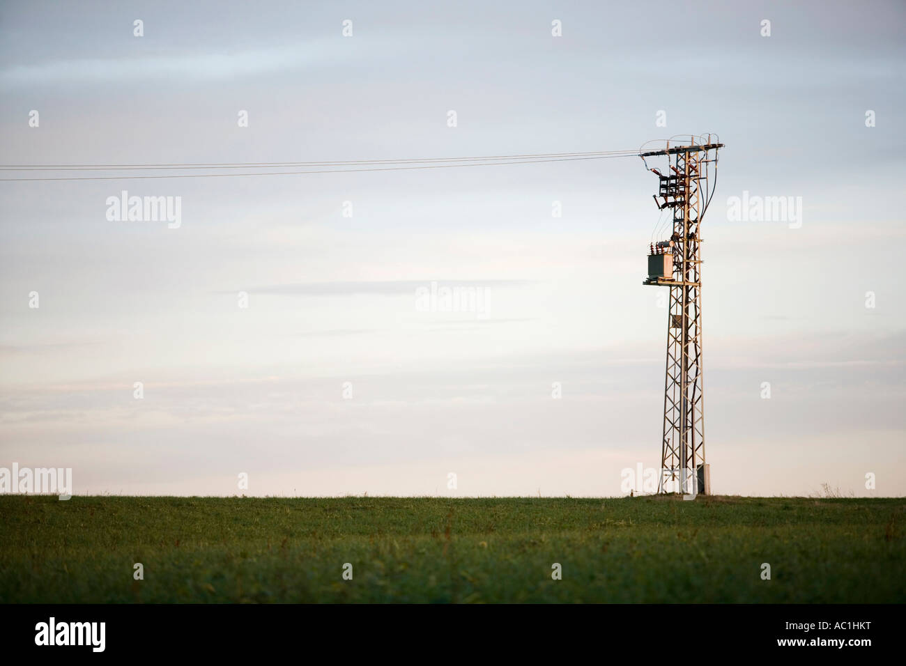 Power pole in field Stock Photo - Alamy