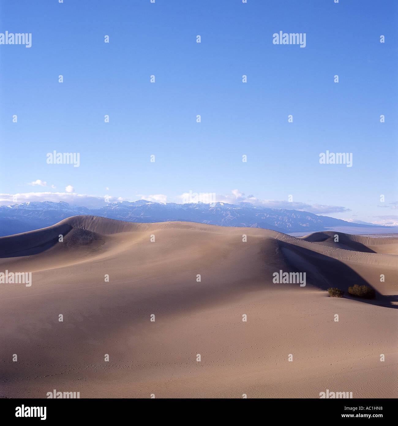 Death Valley Nevada sand dunes Stock Photo - Alamy