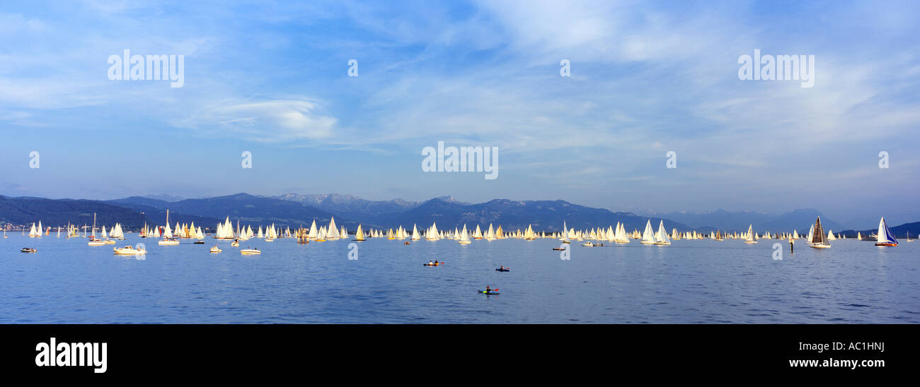 Bodensee regatta hi-res stock photography and images - Alamy