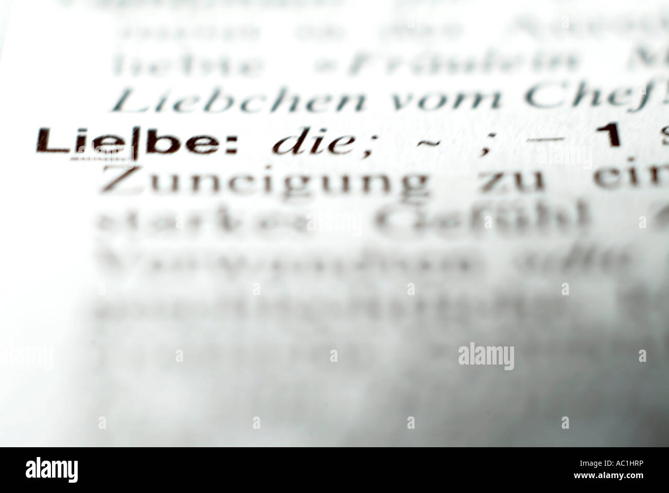 German dictionary, close-up Stock Photo - Alamy