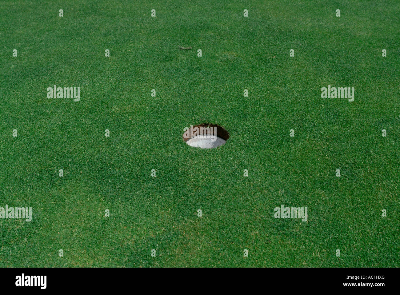 Golf course, close-up Stock Photo - Alamy