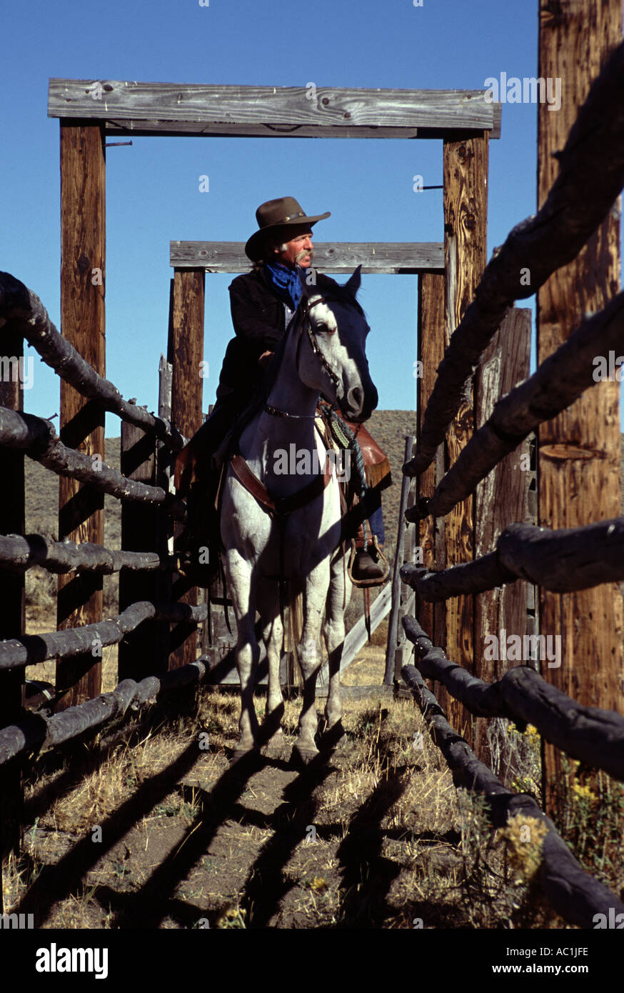 Cowboy and horse in a fenced chute on a western United States ranch ...