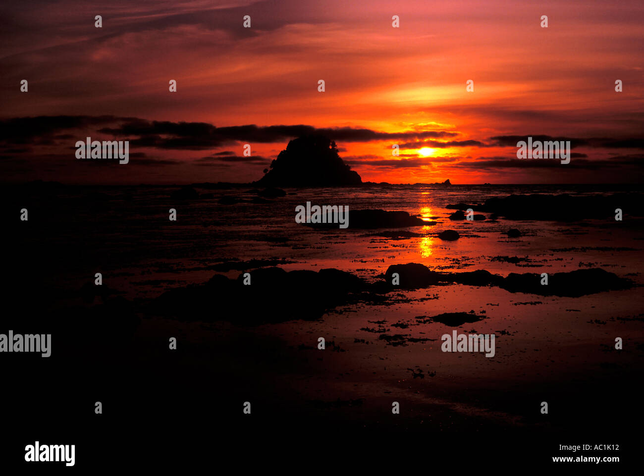 Cape alava, olympic national park hi-res stock photography and images ...