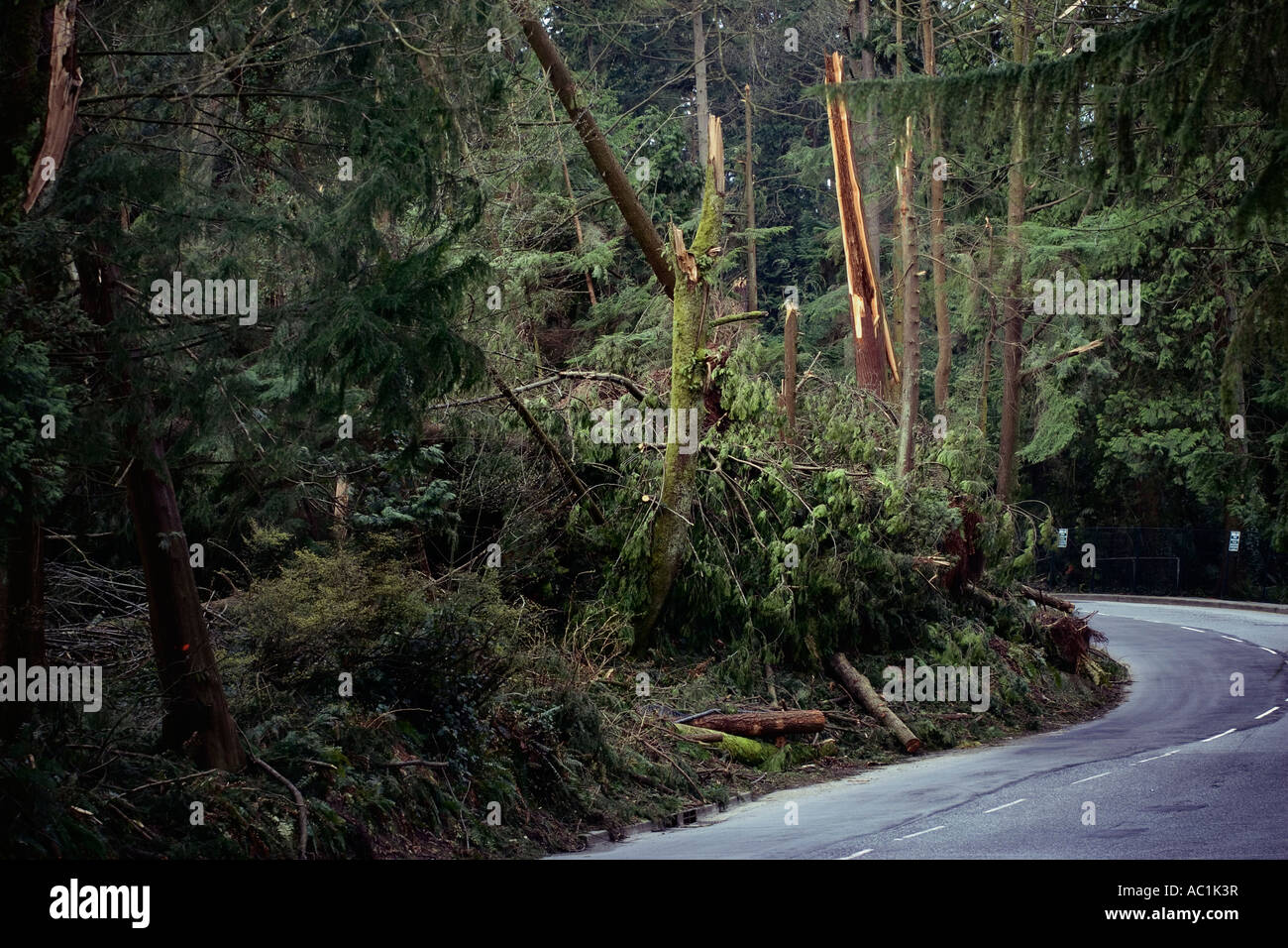 Stanley park storm hi-res stock photography and images - Alamy