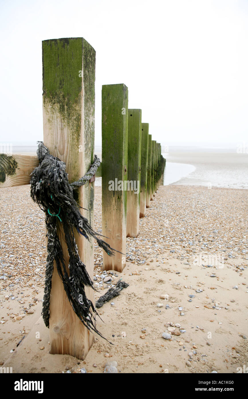 Seaweed on groynes hi-res stock photography and images - Alamy