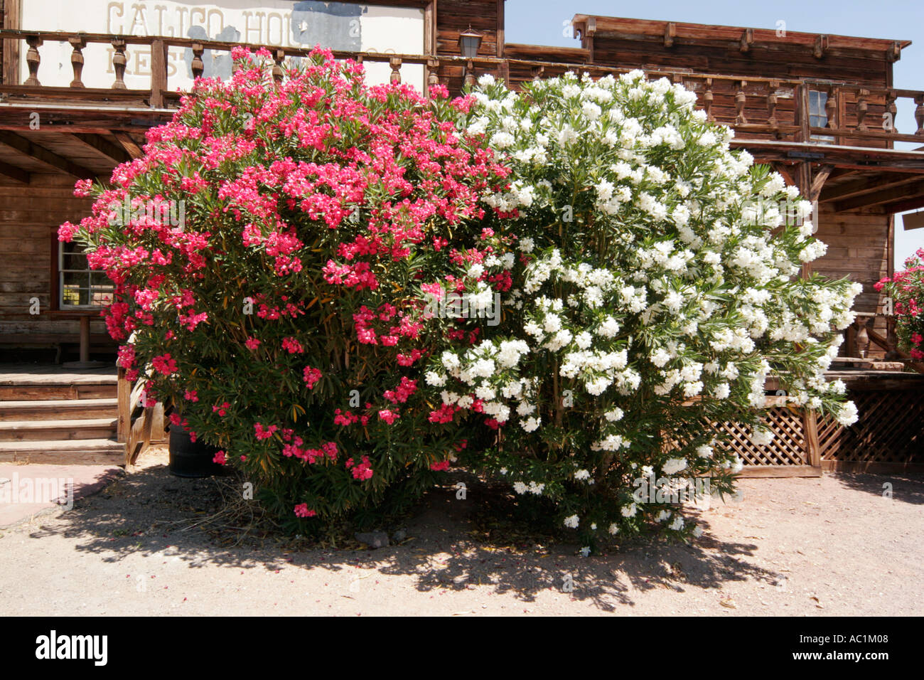 Calico Ghost Town Barstow California USA Mining Western Cowboy ...
