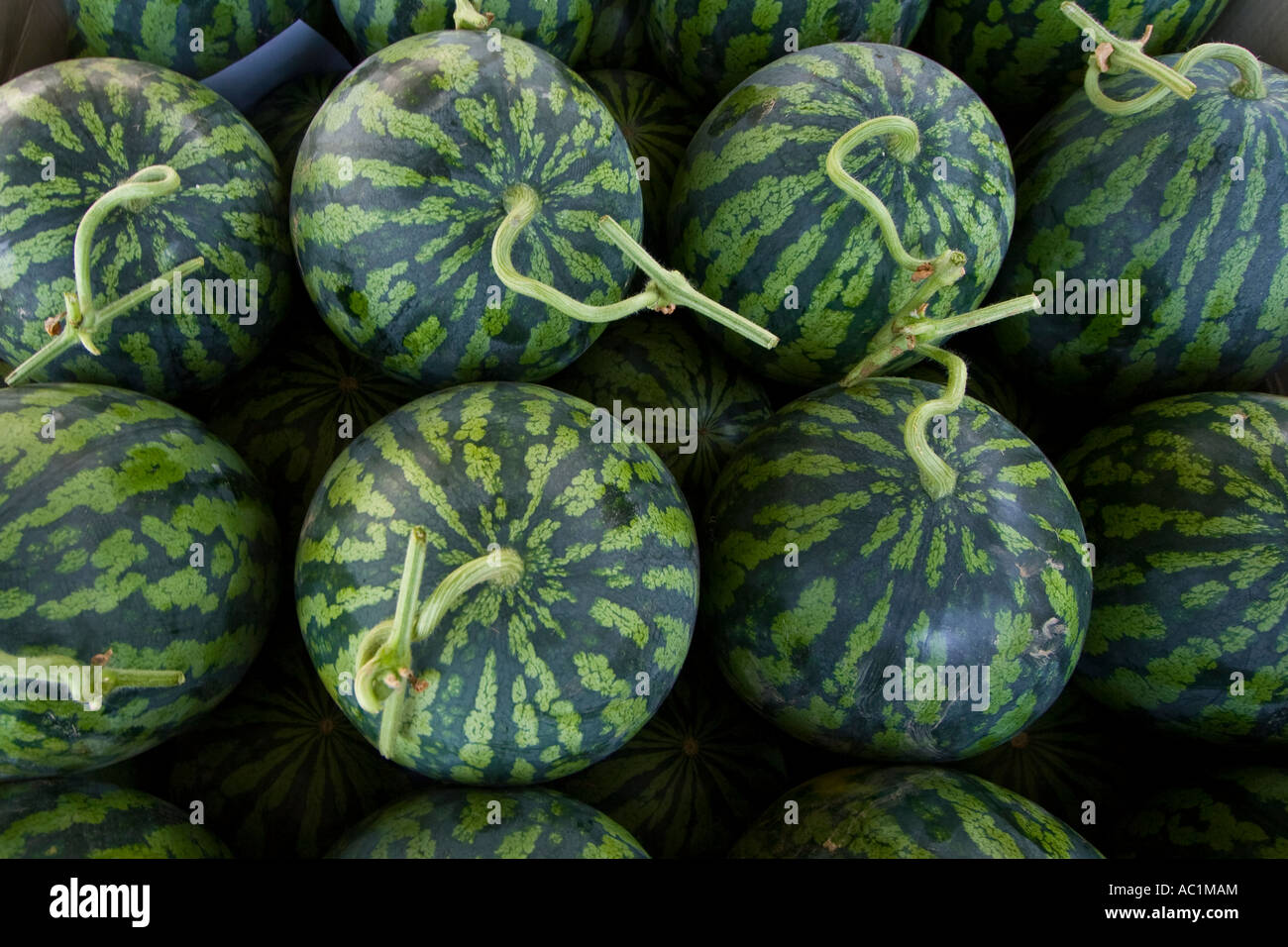 Watermelon fruit south korea hi-res stock photography and images - Alamy