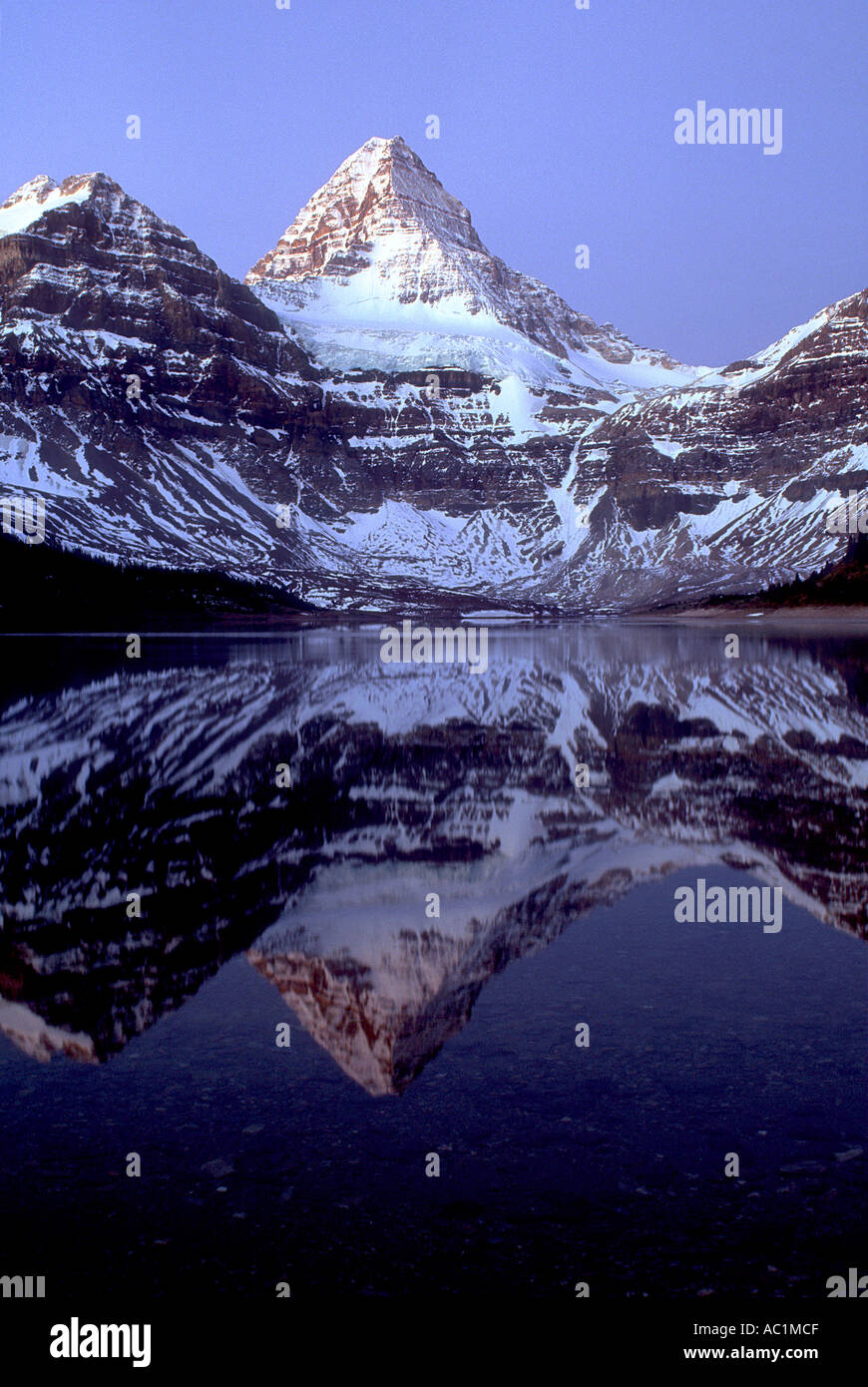 Mt Assiniboine reflected in Lake Magog at twilight Mount Assiniboine ...