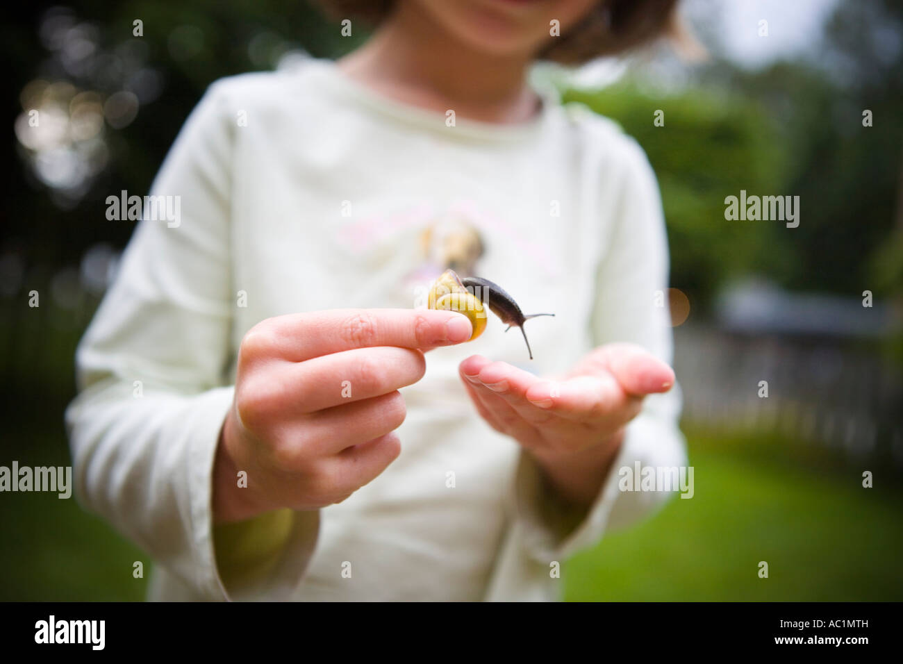 4 year old little girl with a land snail in her hand Stock Photo - Alamy