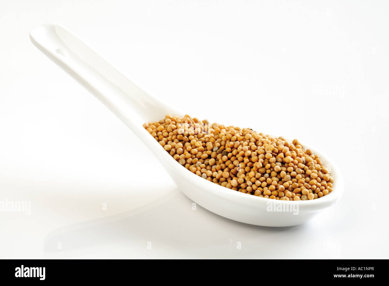 Mustard seed detail hi-res stock photography and images - Alamy
