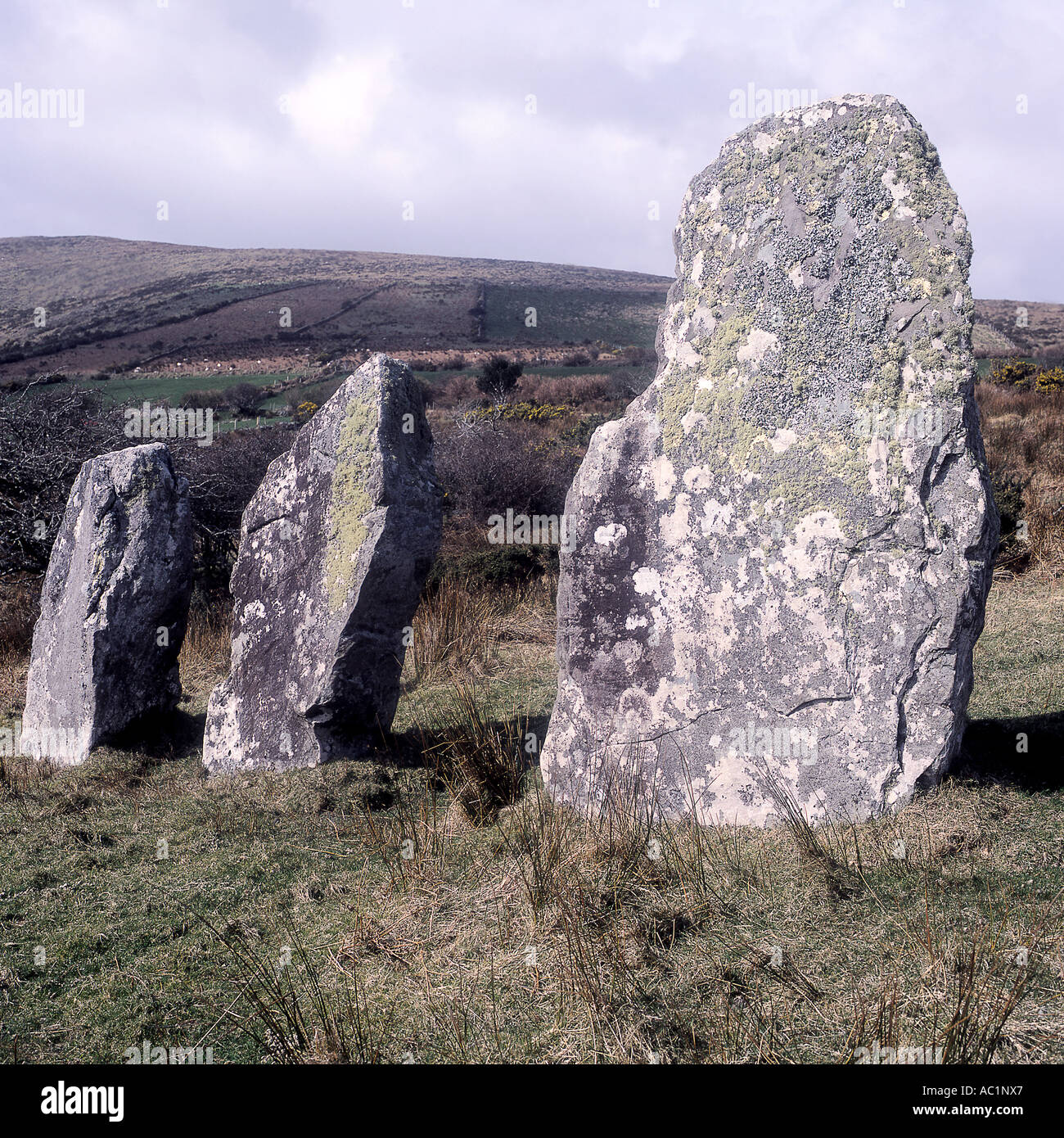 History standing hi-res stock photography and images - Alamy