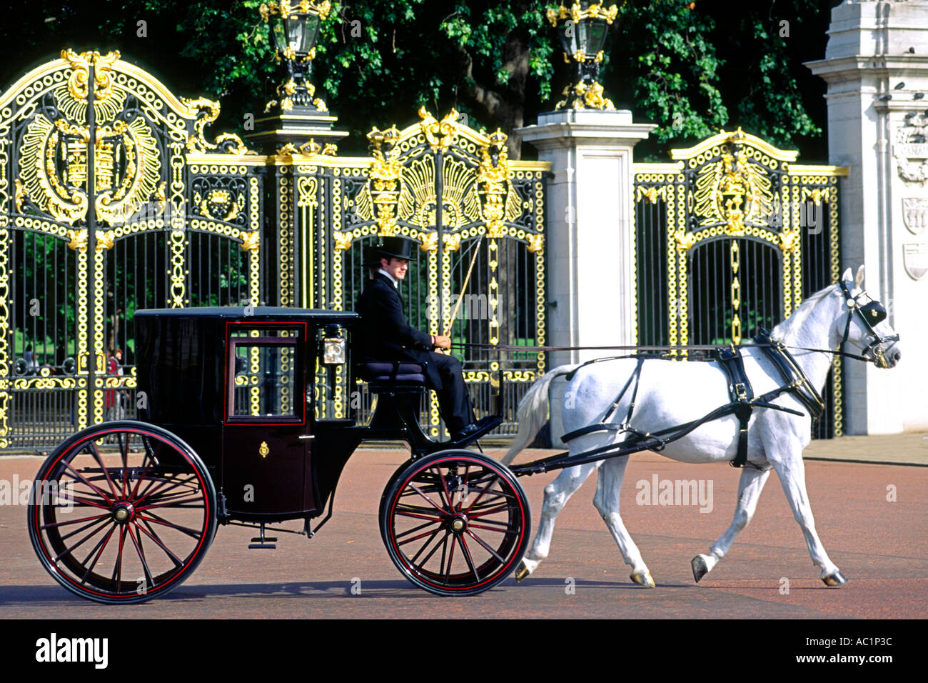 Horse And Carriage Logo