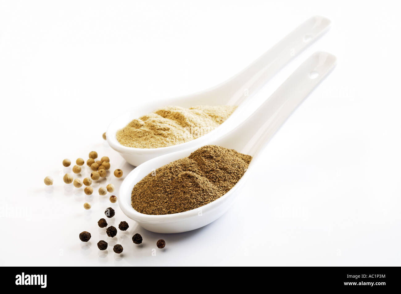 Close up photo ground Cut Out Stock Images & Pictures - Alamy