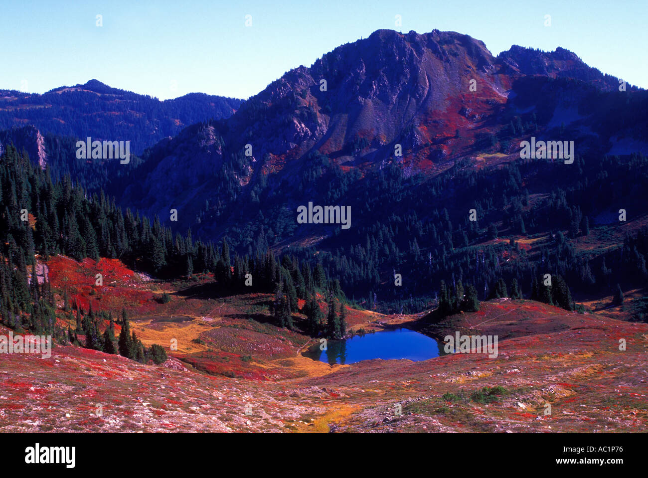 Fall colors surround Heart Lake from the High Divide Trail Olympic ...