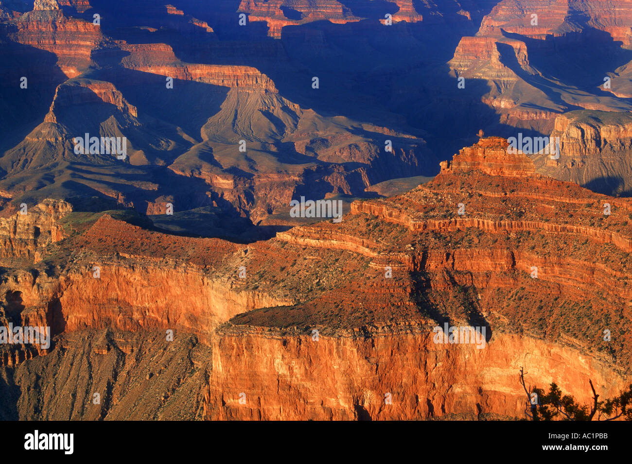 GRAND CANYON ARIZONA USA Stock Photo - Alamy