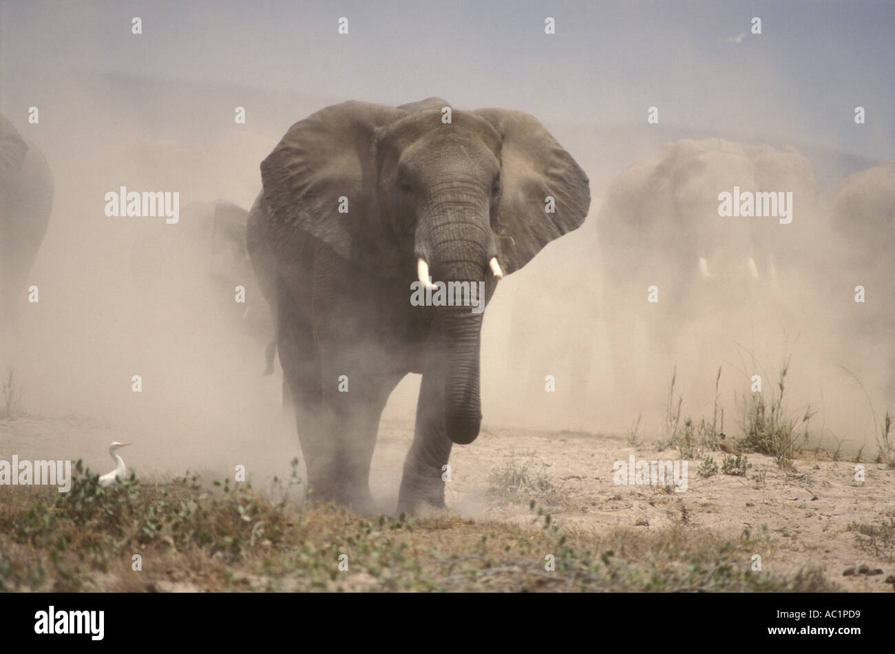 Dust mist hi-res stock photography and images - Alamy