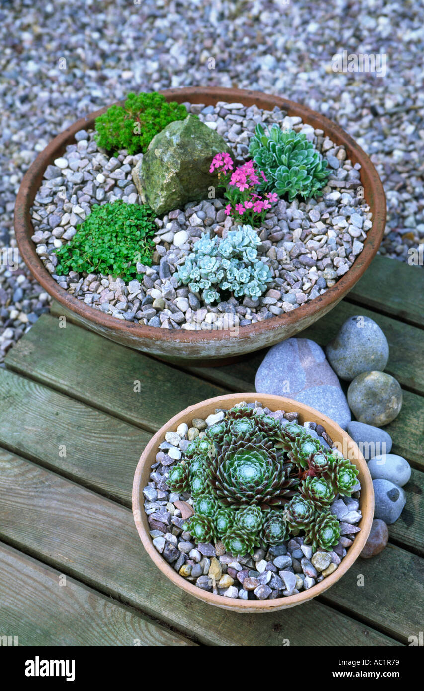 Alpine container garden hi-res stock photography and images - Alamy