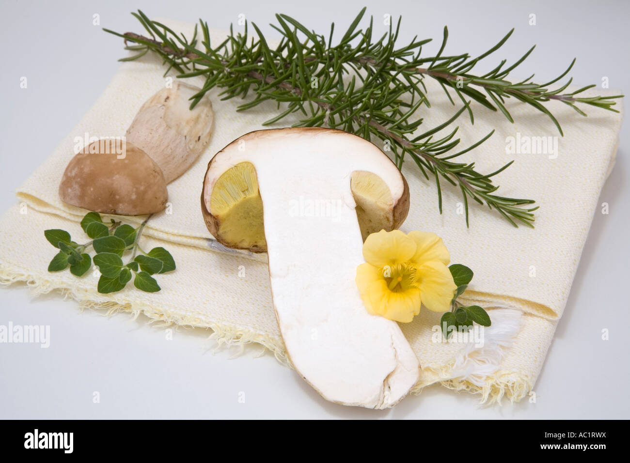 Sliced boleti, close-up Stock Photo - Alamy