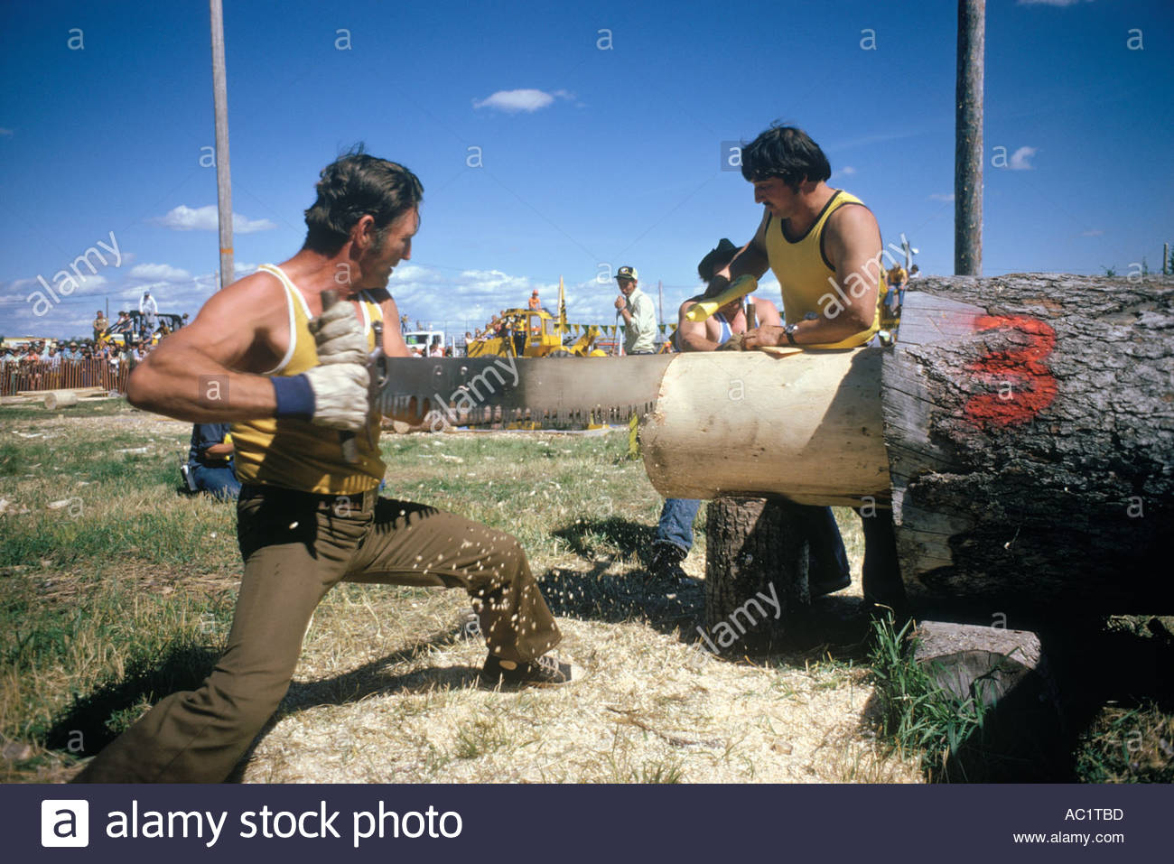 Cross Cut Saw High Resolution Stock Photography and Images - Alamy