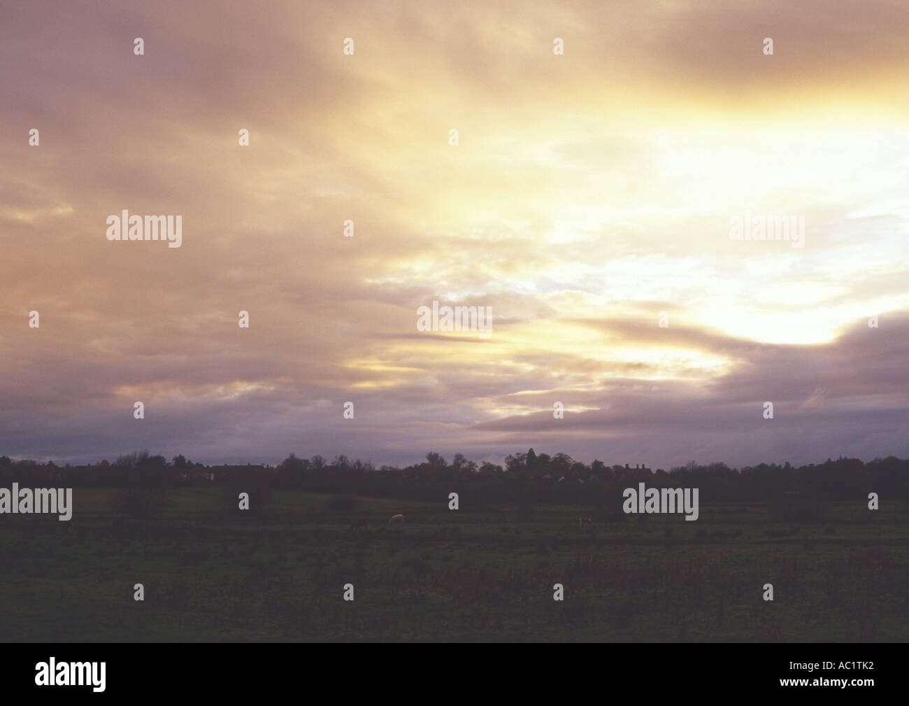 Common in the uk hi-res stock photography and images - Alamy