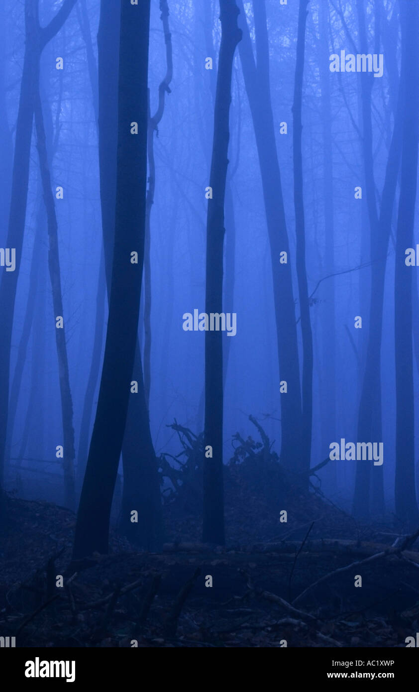 Terrifying night hi-res stock photography and images - Alamy