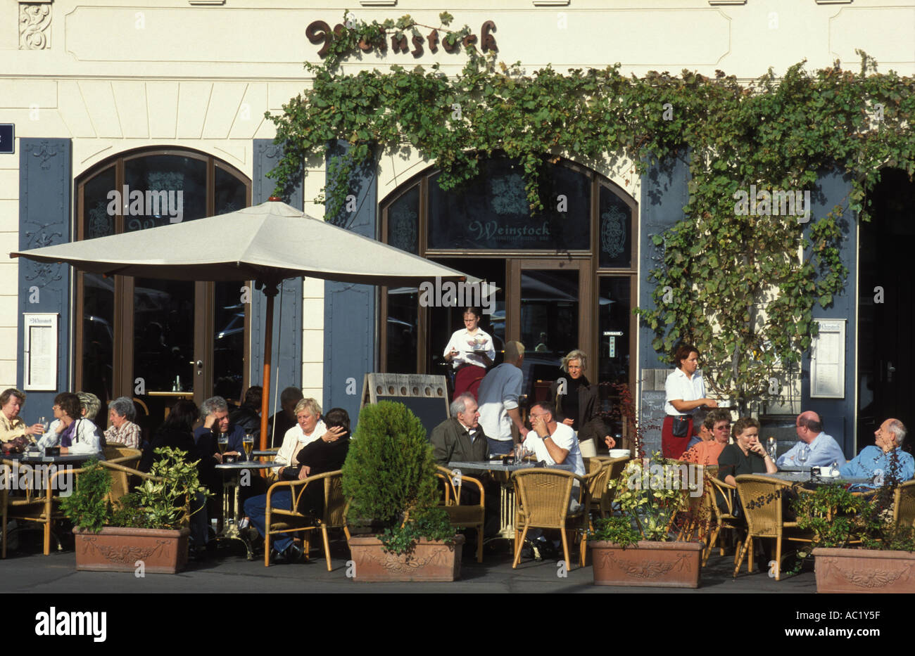 Weinstock hi-res stock photography and images - Alamy