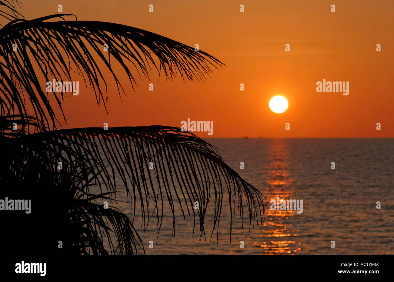 Thailand Phuket Beach at sunset Stock Photo - Alamy