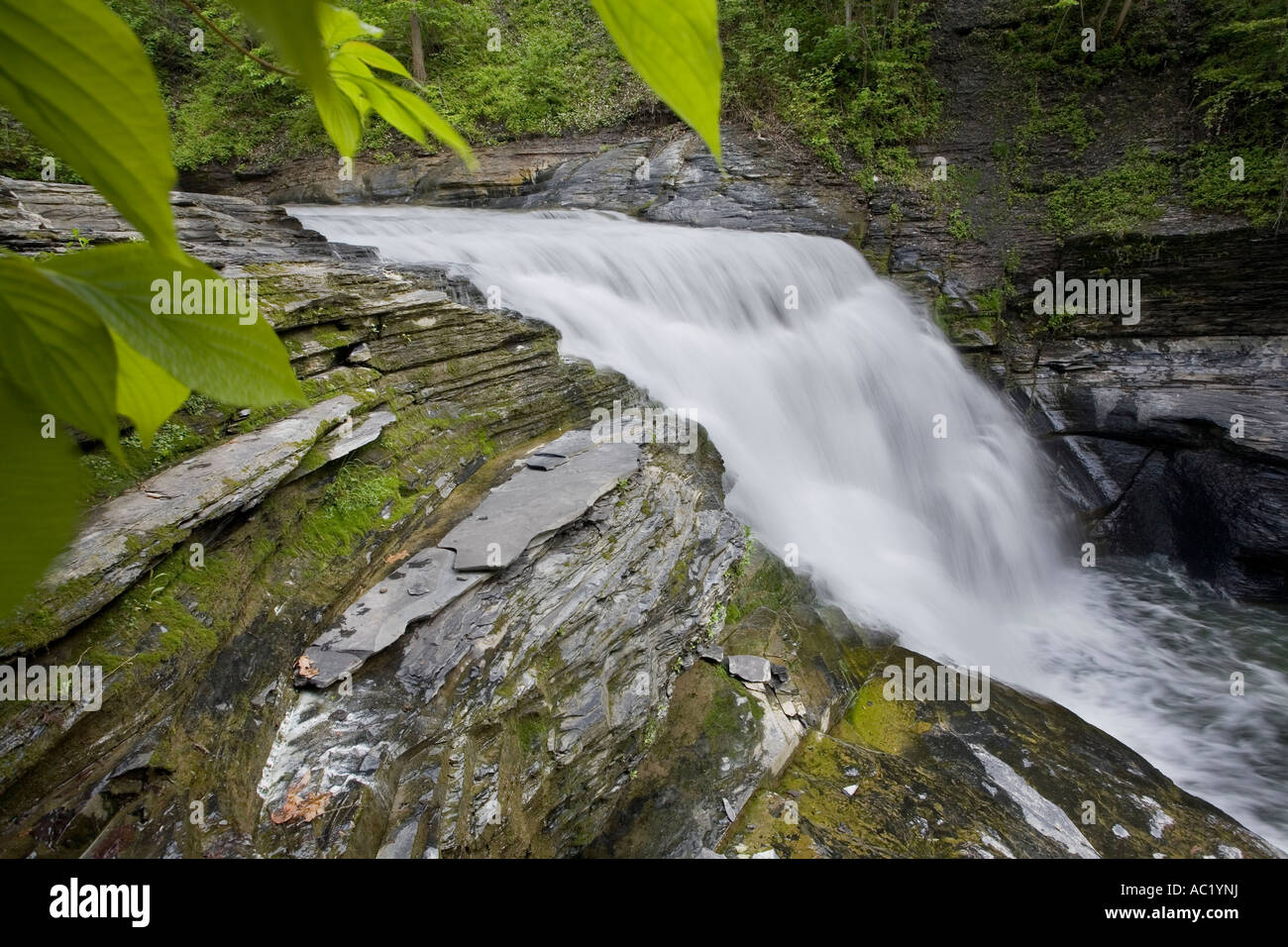 Montgomery falls hi-res stock photography and images - Alamy