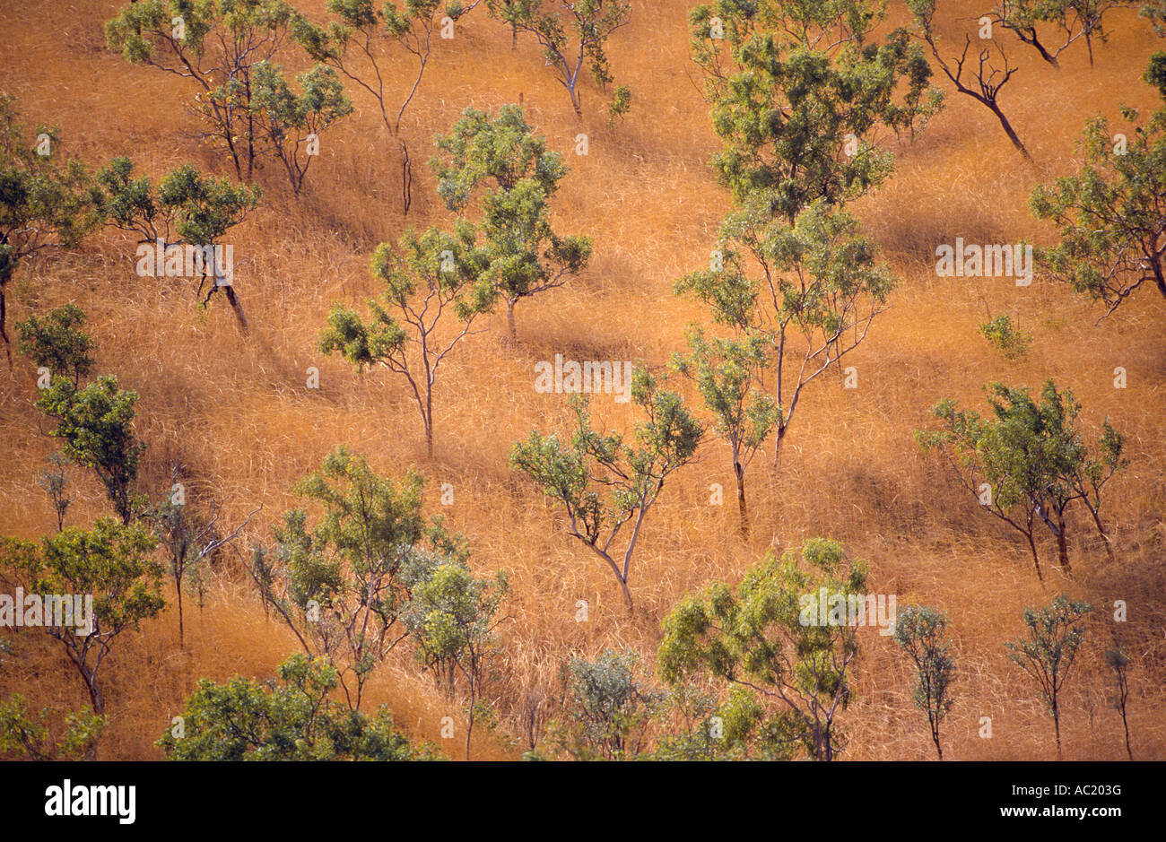 Kimberley landscape, Western Australia, horizontal Stock Photo - Alamy