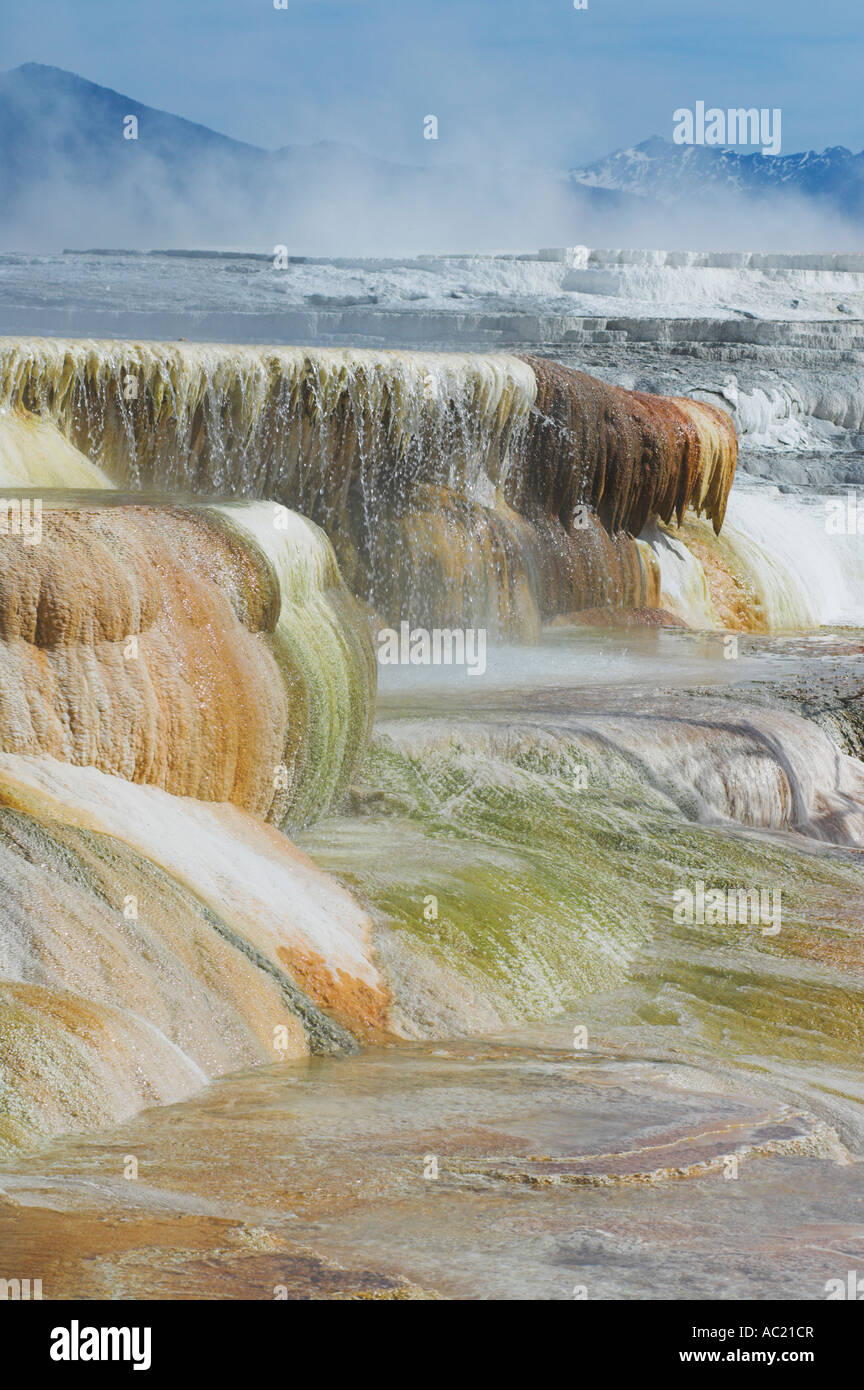 Canary Spring Terraces Mammoth Hot Springs Yellowstone National Park ...